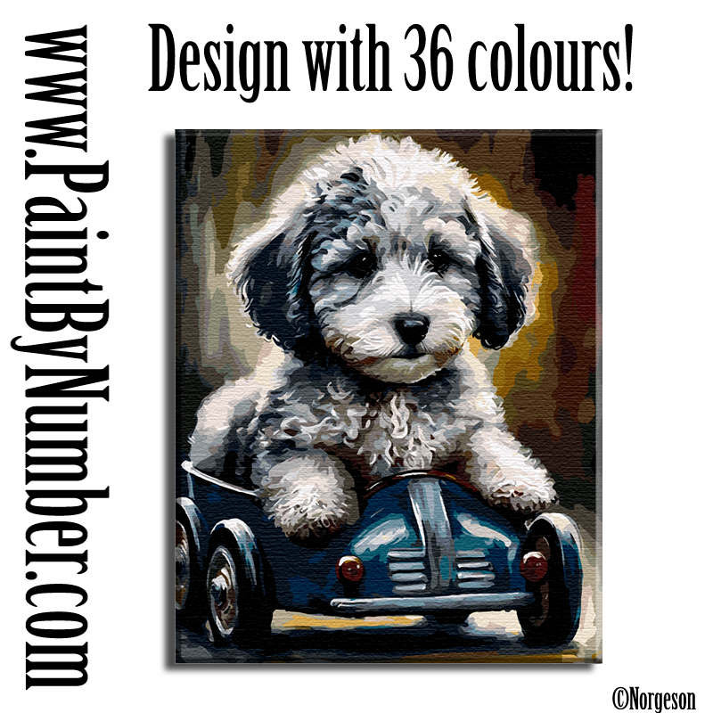 Doodle drive – Norgeson - Traditional paint by numbers